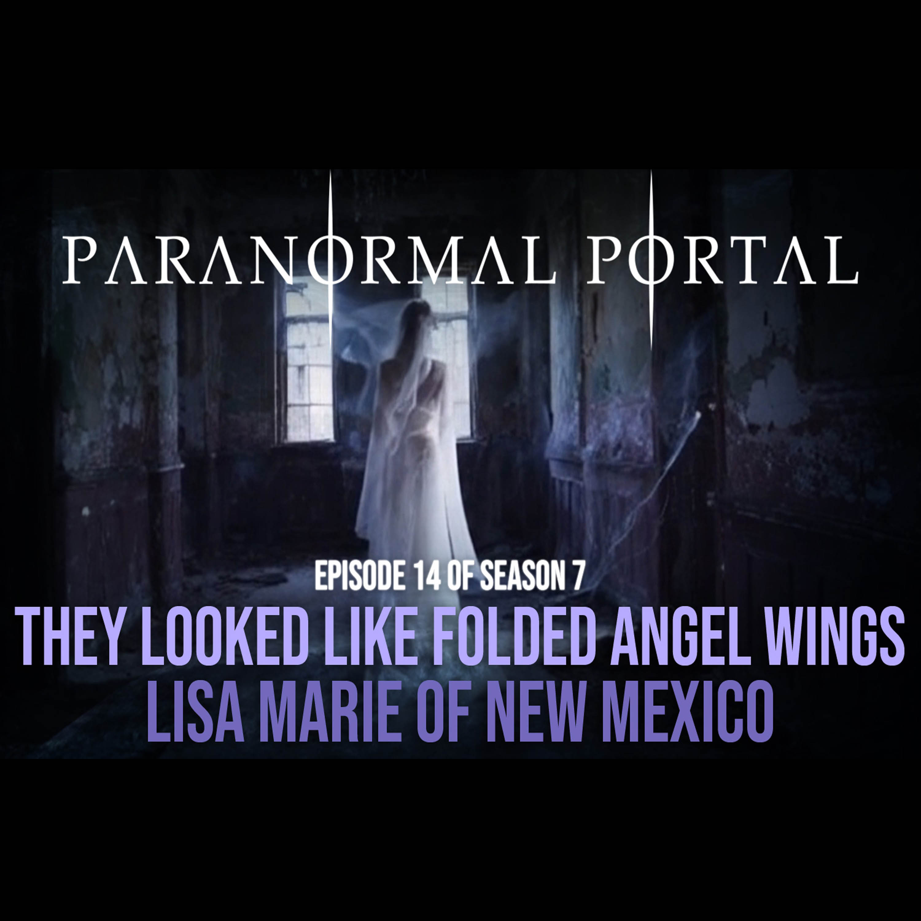 They Looked Like Folded Angel Wings - Lisa Marie from New Mexico ...