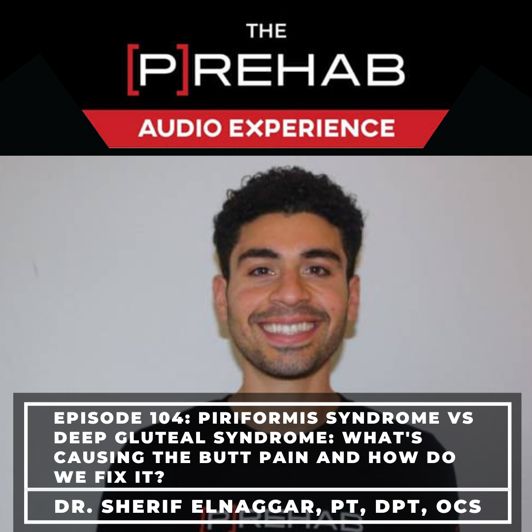 #104 | Piriformis Syndrome vs Deep Gluteal Syndrome: What's Causing The ...