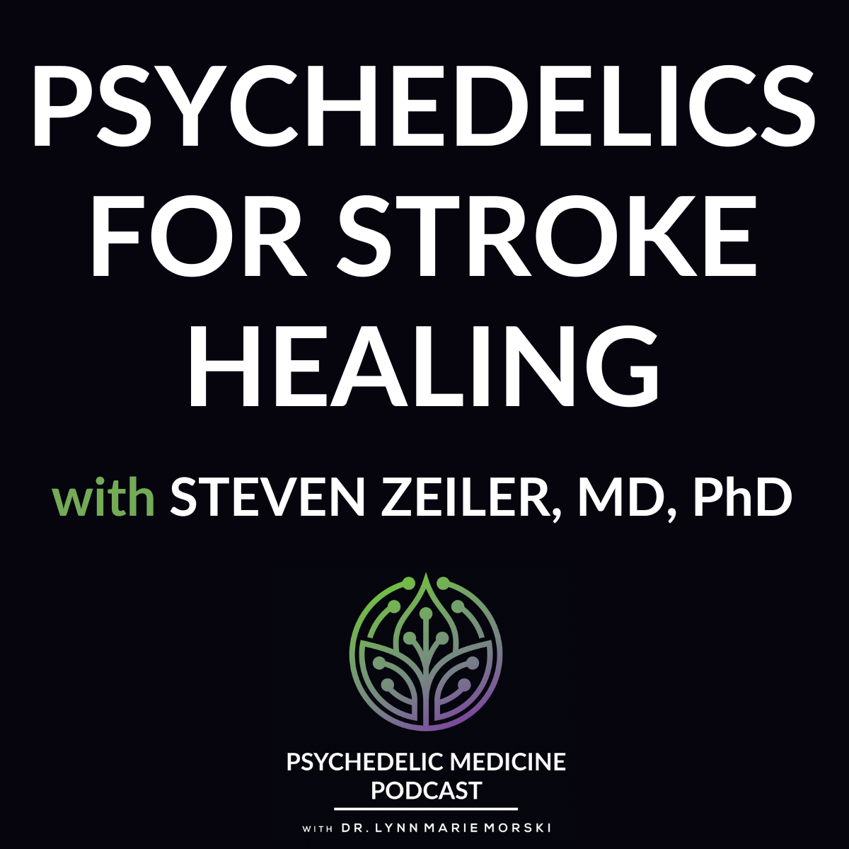 Psychedelics for Stroke Healing with Steven Zeiler, MD, PhD - Psychedelic Medicine Podcast with ...