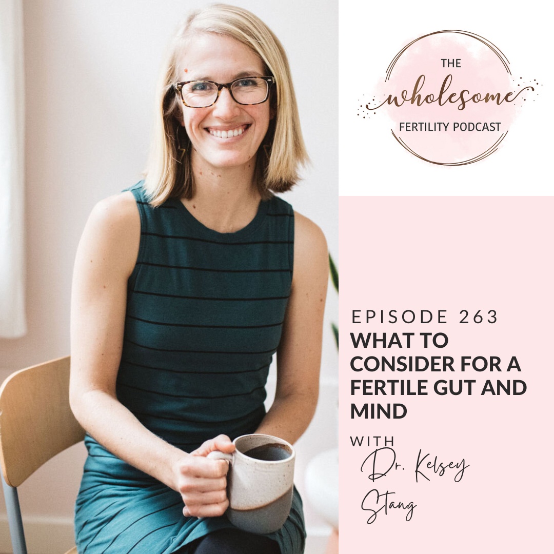 EP 263 What to Consider for a Fertile Gut and Mind | Dr. Kelsey Stang – The Wholesome Fertility ...