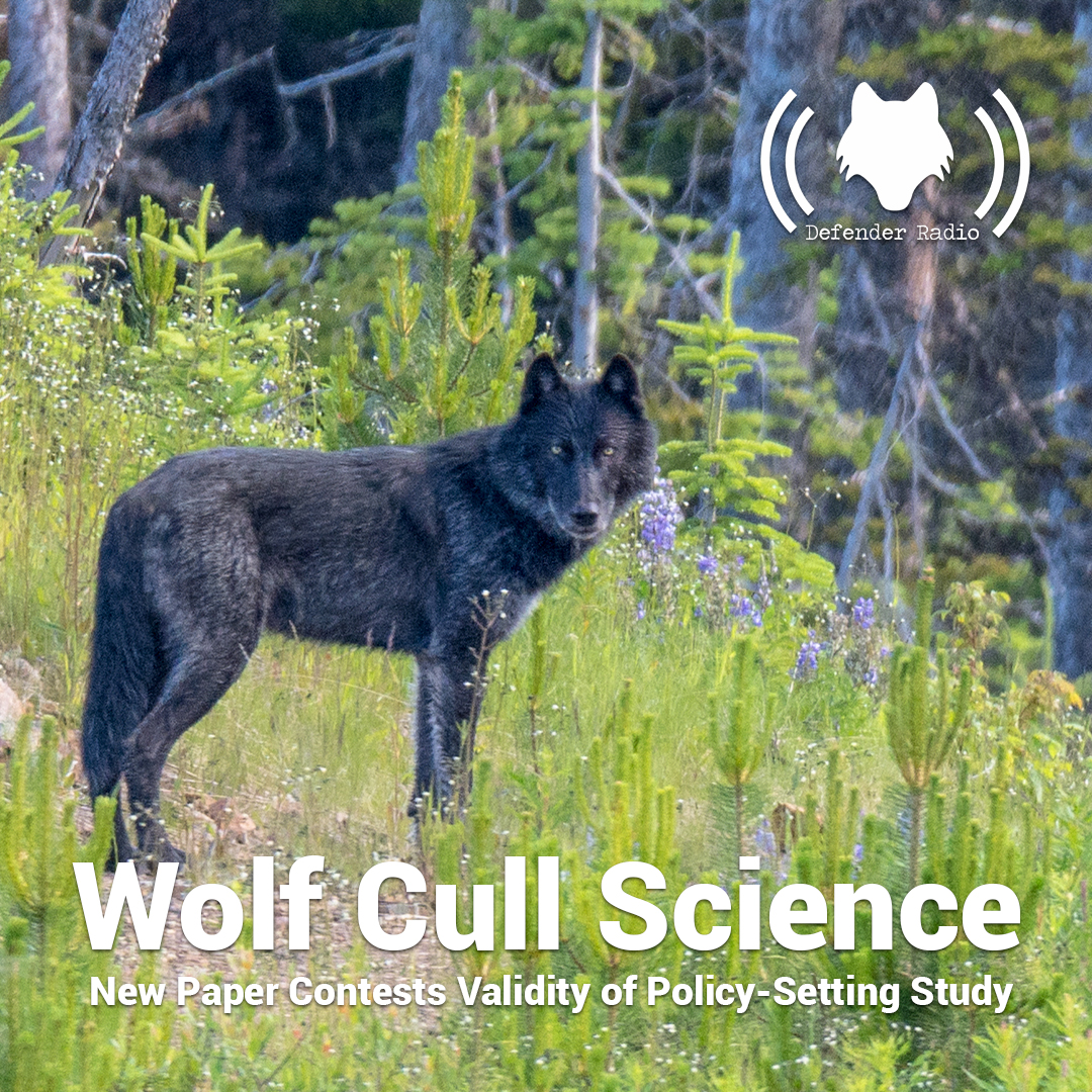 Wolf Cull Science - Defender Radio and The Switch | Lyssna här ...